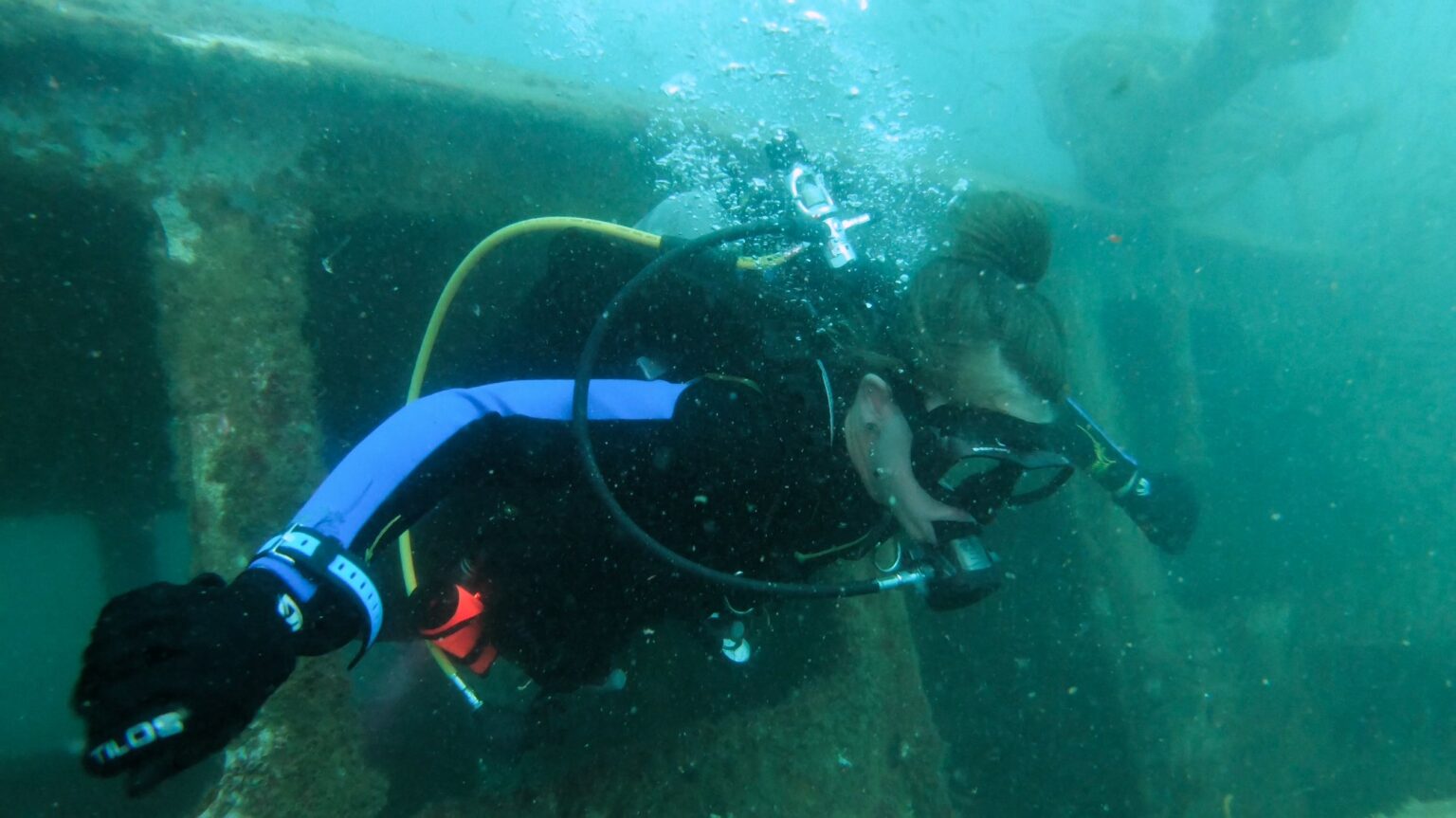 Scuba Diving in Daytona Beach: A Comprehensive Guide - 2 Dive For