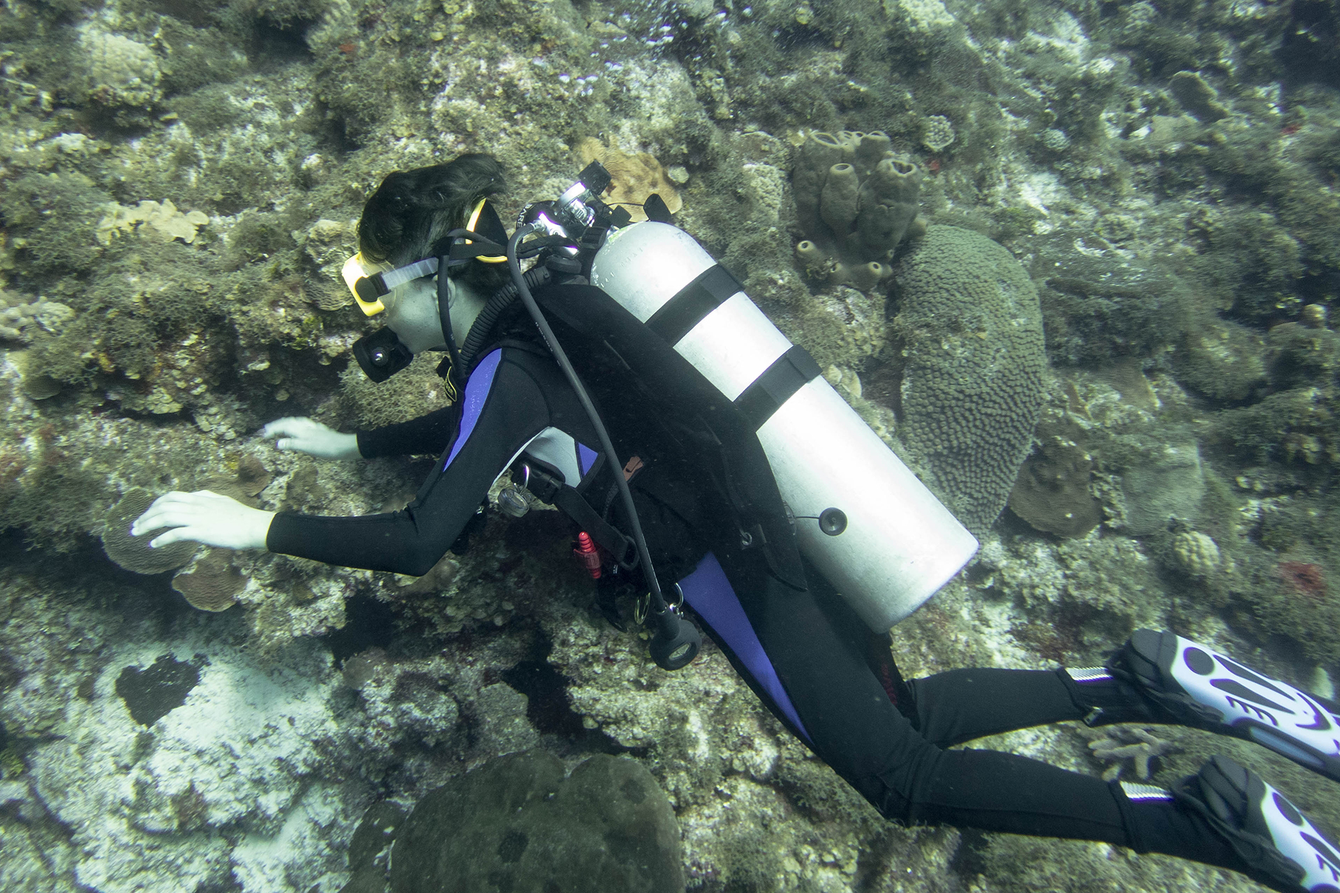 Essential Scuba Diving Tips for Beginners in 2023 - 2 Dive For