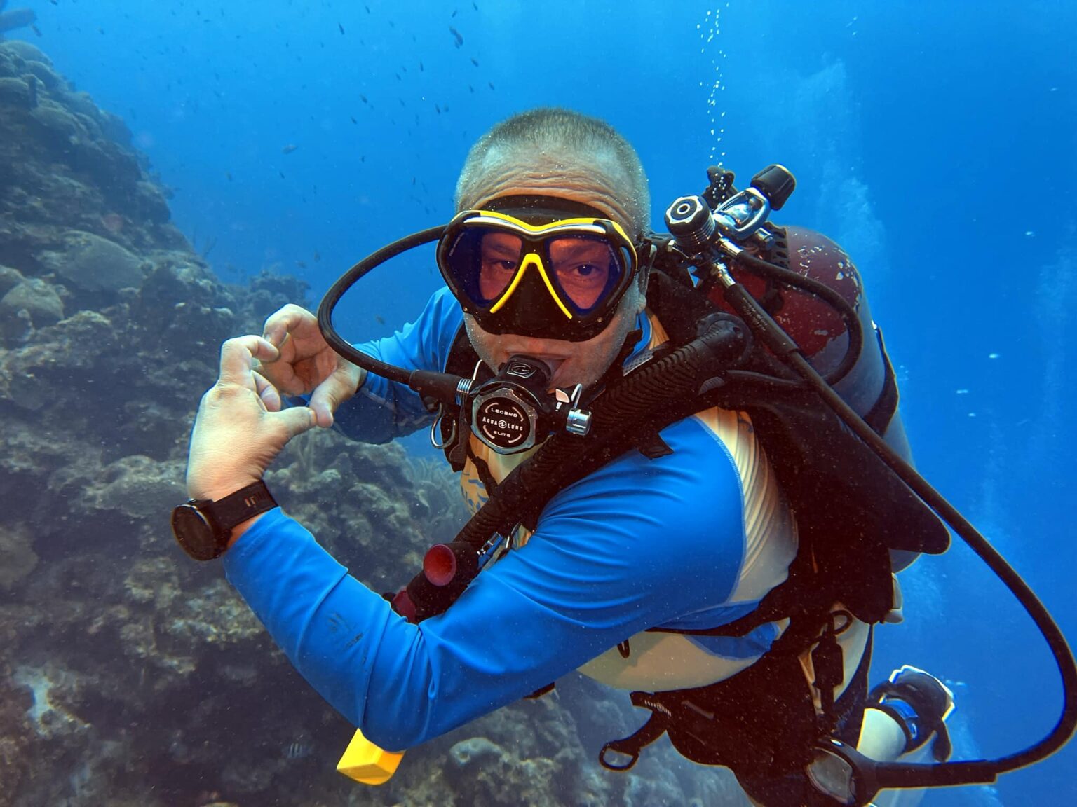 Scuba Diving Certification in 2023: Unleash Your Underwater Potential ...