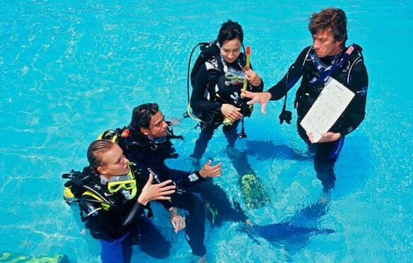 Scuba Diving Refresher Course in 2023: Back in the Deep End - 2 Dive For