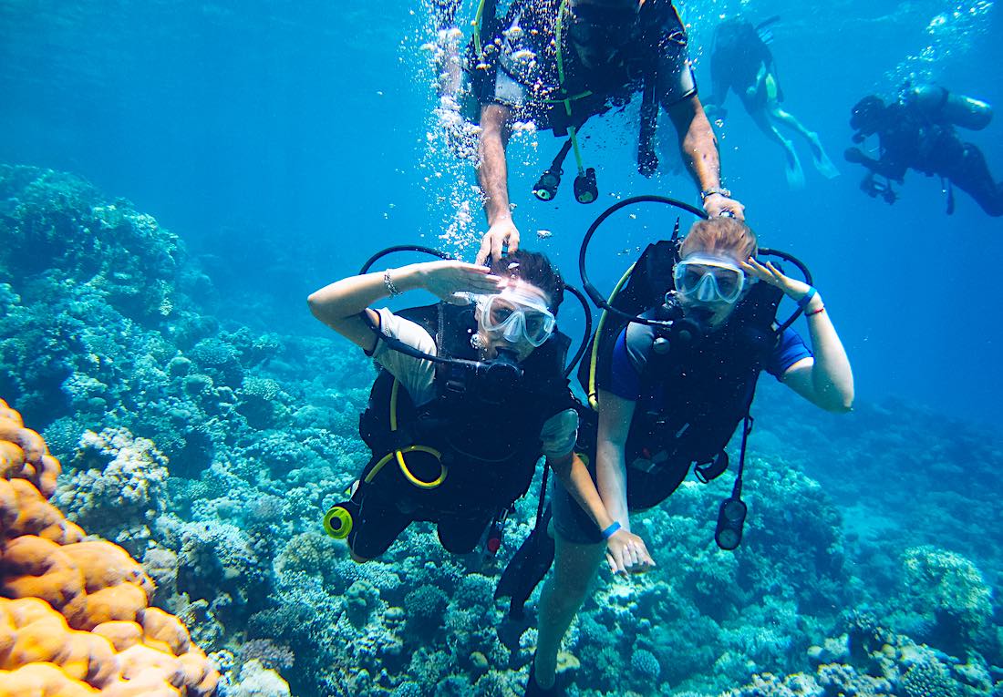 Delving into Aquatic Enigma in 2023: Discover Scuba Diving and Dive ...